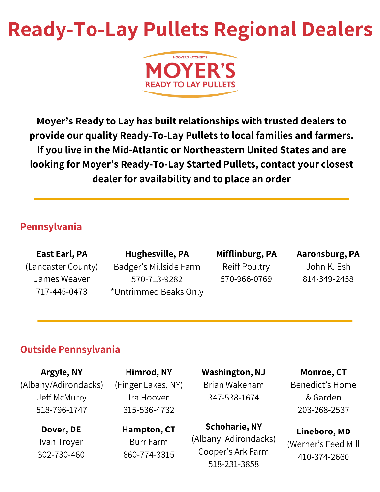 Moyer's Ready to Lay Pullets | Hoover's Hatchery