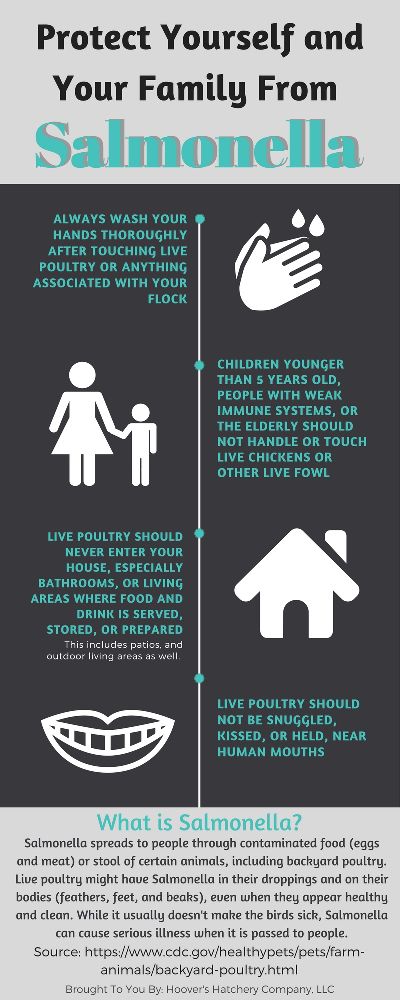 Salmonella Safety | Hoover's Hatchery